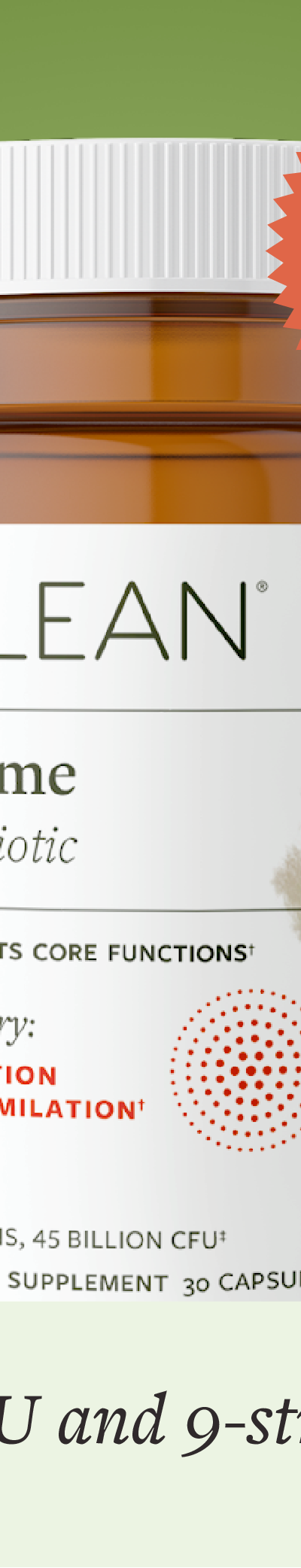 Gut Health and Detox Program: Restore your Digestive Health – Clean Program