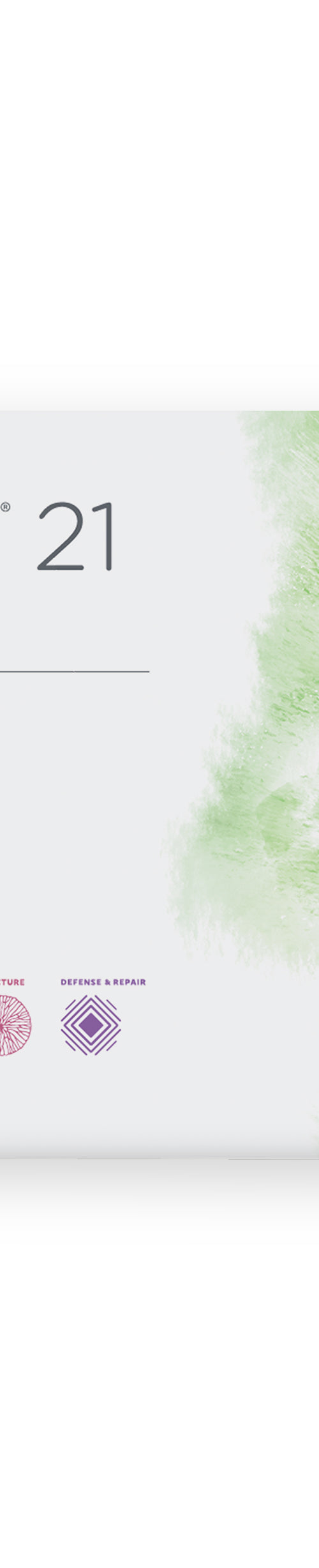 Cleanse Diet: 7 & 21-Day Cleansing Detox Diet Plan | Clean Program