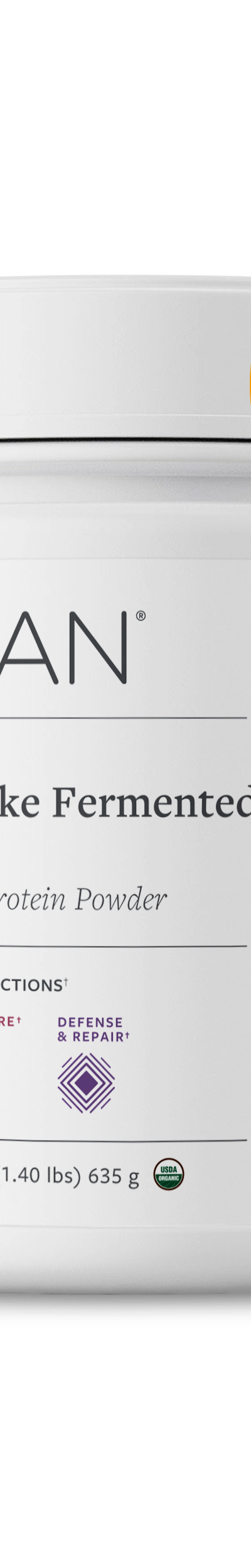 Gut Health and Detox Program: Restore your Digestive Health – Clean Program