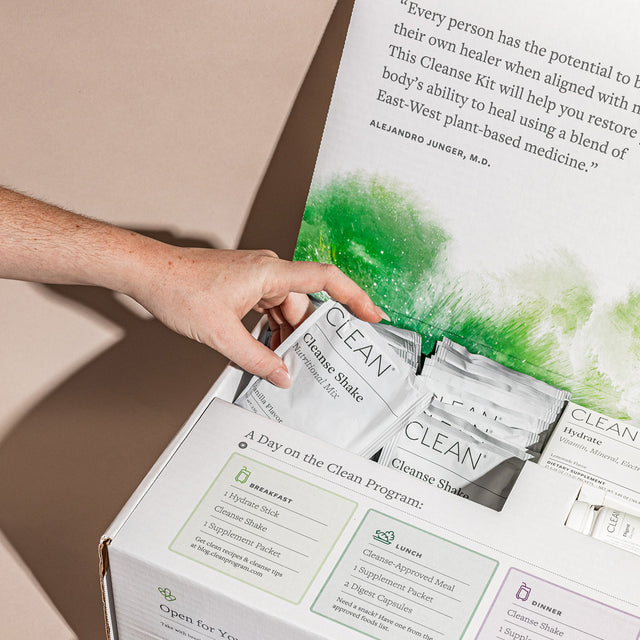 Clean Program Gut Health Program Detox Reset Your Gut